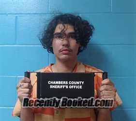 Recent Booking / Mugshot for NOAH ALEXANDER PADILLA in Chambers County ...