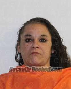 Recent Booking / Mugshot for DE ANNA ZAVALA in Clay County, Texas