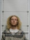 Recent Booking / Mugshot for BRANDON ALLEN WATSON in Williams County ...