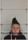 Recent Booking / Mugshot for LISA ANN MARIE FURR in Williams County ...