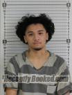 Recent Booking / Mugshot for MESHACH ROLAND BIRD POPOALII in Williams ...