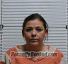 Recent Booking / Mugshot for MEGAN JOY REICHENBERGER in Williams County ...