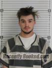 Recent Booking / Mugshot for NEVADA JUSTIN POOLE in Williams County ...