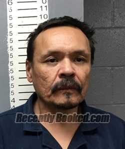 Recent Booking / Mugshot for MICHAEL WAYNE ROBINSON in Bryan County ...