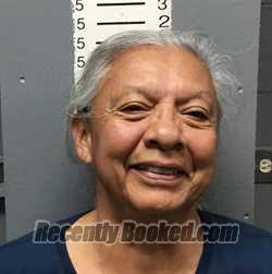 Recent Booking / Mugshot for LADONNA MARIE QUINLIN in Bryan County ...