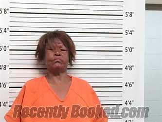 Recent Booking / Mugshot for CHANDA BOYIDDLE in Caddo County, Oklahoma