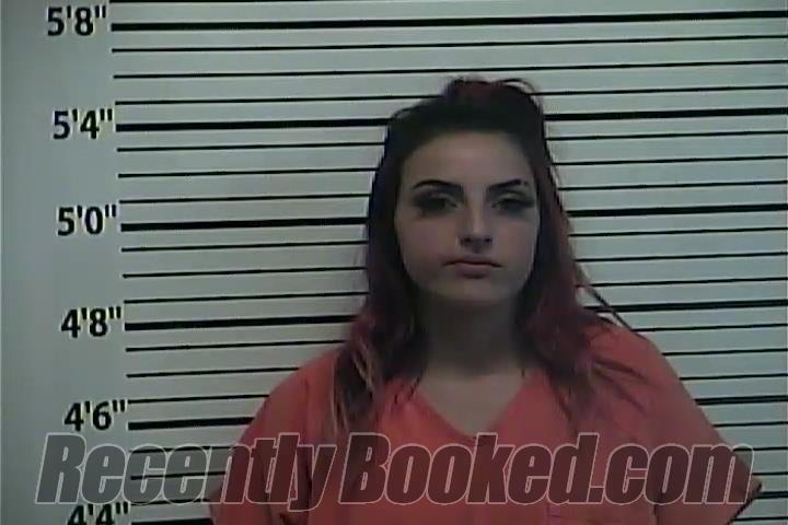 Recent Booking / Mugshot for BRINKLEY LAUREN HEISE in Caddo County ...