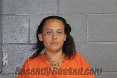 Recent Booking / Mugshot for DANI DAWN PORTERFIELD in Canadian County ...