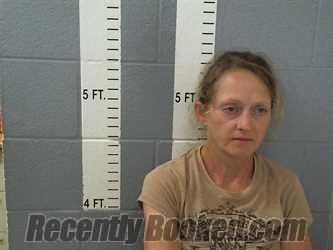 Recent Booking / Mugshot for SONYA DIANN HAINES in Carter County, Oklahoma