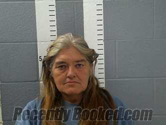 Recent Booking / Mugshot for DANA MICHELLE FELS in Carter County, Oklahoma