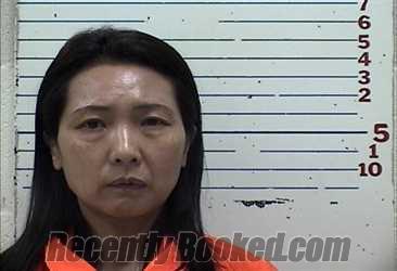 Recent Booking / Mugshot for LI YIMEI in Comanche County, Oklahoma