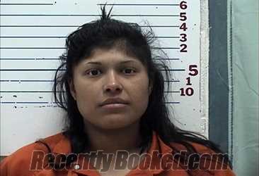 Recent Booking / Mugshot for SADIE ALYSSA PORTILLO in Comanche County ...