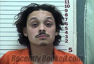 Recent Booking / Mugshot for SAVION RICARDO NEGRON in Comanche County ...