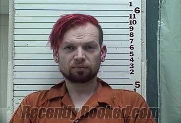 Recent Booking / Mugshot for CHRISTIAN DONOVAN SHEPPARD in Comanche ...