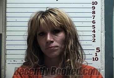 Recent Booking / Mugshot for DIANNA LYNN RUNDLE in Comanche County ...
