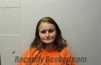 Recent Booking / Mugshot for ERICA MICHELLE BURKEEN in Custer County ...