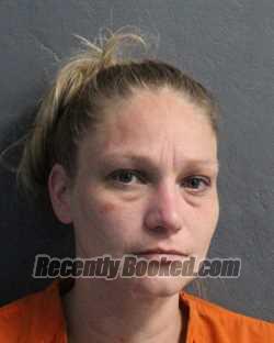 Recent Booking / Mugshot for MEAGAN LYNN LARSON in Delaware County ...