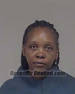 Recent Booking / Mugshot for Yvette Lashum Palmer in Collin County, Texas