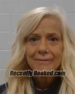 Shauna Gayle Hartman Mugshot & Arrest Info | Collin County, TX
