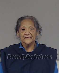 Recent Booking / Mugshot for Anna Marie Contreras in Collin County, Texas