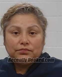 Recent Booking / Mugshot for Lisa Marie Guerra in Collin County, Texas