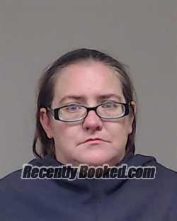 Recent Booking / Mugshot for Heidi Annette Reyna in Collin County, Texas