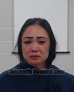 Recent Booking / Mugshot for Monique Nguyen in Collin County, Texas