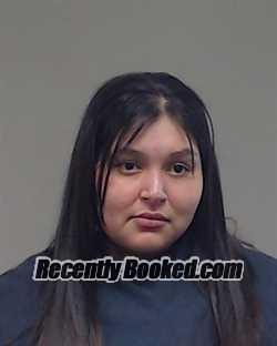 Recent Booking / Mugshot for Lydia Meza in Collin County, Texas