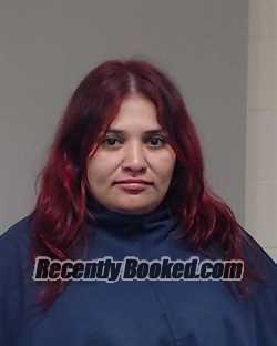 Recent Booking / Mugshot for Dafeny Mahely Yanez in Collin County, Texas