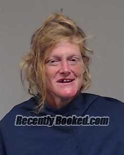 Recent Booking / Mugshot for Heather Michelle Radke in Collin County, Texas