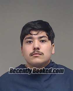 Recent Booking / Mugshot for Luis Jacob Ramos in Collin County, Texas