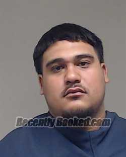 Recent Booking / Mugshot for Porfirio Castillo in Collin County, Texas
