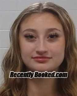 Gabriella Rennee Trevino Mugshot & Arrest Info | Collin County, TX