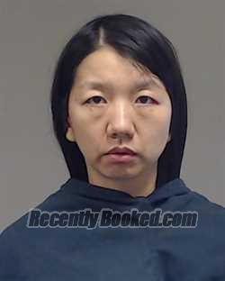 Recent Booking / Mugshot for TING WANG in Collin County, Texas