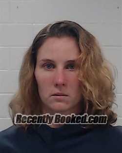 Lorna Karyl Lee Mugshot & Arrest Info | Collin County, TX