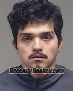 Recent Booking / Mugshot for Erik Roldan in Collin County, Texas