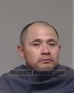 Recent Booking / Mugshot for Jose Pascual Martinez Campos Jr in Collin ...