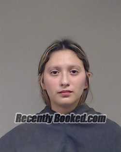 Recent Booking / Mugshot for Rosemary Castillo in Collin County, Texas