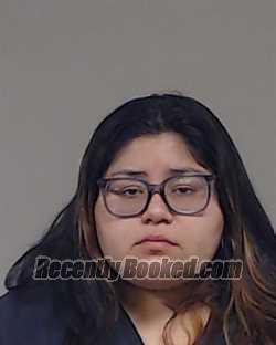Recent Booking / Mugshot for Joanna Michelle Rangel in Collin County, Texas