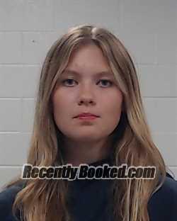 Recent Booking / Mugshot for Hailey Elizabeth Northen in Collin County ...