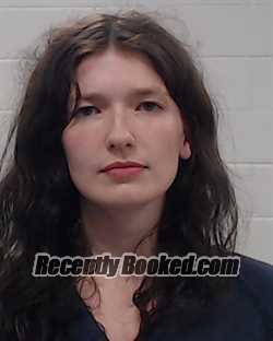 Recent Booking / Mugshot for Hannah Elizabeth Potapov in Collin County ...