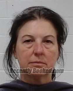 Recent Booking / Mugshot for Silvana Smith in Collin County, Texas