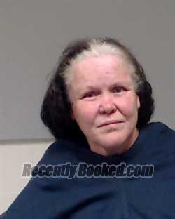 Recent Booking / Mugshot for Louise Earnestine Ortiz in Collin County ...