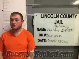 Recent Booking / Mugshot for AUSTIN EVERETT HALLMARK in Lincoln County ...