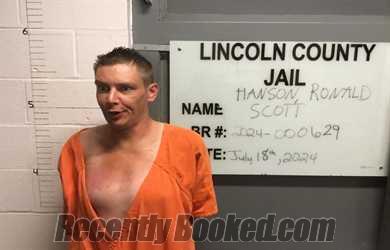 Recent Booking / Mugshot for RONALD SCOTT HANSON in Lincoln County ...