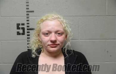 Recent Booking / Mugshot for ALEXANDRIA SHAE HARMEYER in Logan County ...