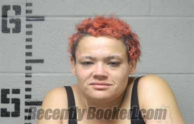 Recent Booking / Mugshot for ANGELICA TRA-SHEA CLARK in Logan County ...