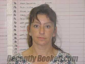 TAMMY RENEE MATLOCK Arrest Record & Booking Info – Logan County ...