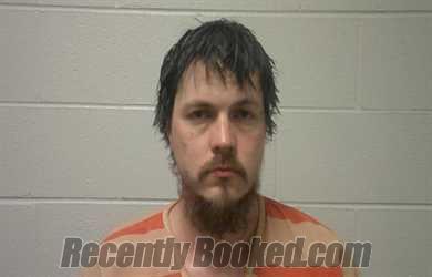 Recent Booking / Mugshot for WILLIAM RAY GREGORY HORN in Love County ...
