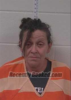 Recent Booking / Mugshot for TINA LINDA STRINGFELLOW in Love County ...